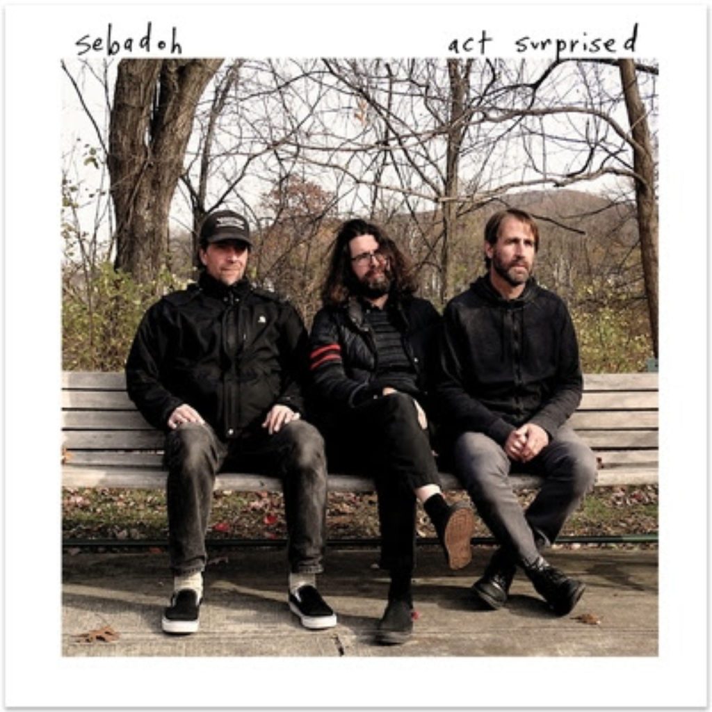 Sebadoh Announce First New Album in Six Years Act Surprised for May ...