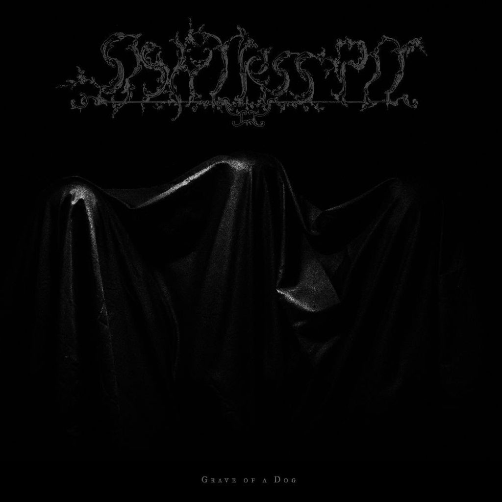 Members of The Body, Full of Hell and Lingua Ignota Form New Band ...