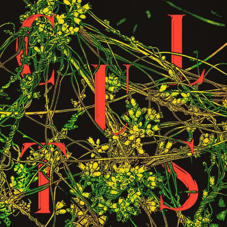 Cults Announces New album Host for September 2020 Release and Shares ...