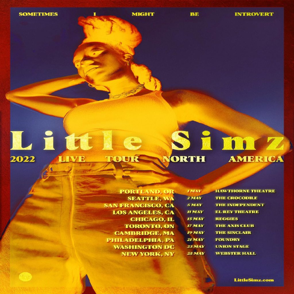 Little Simz Announces Spring 2022 North American Tour Dates - mxdwn Music