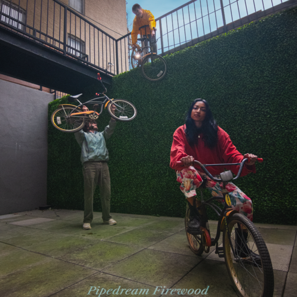 mxdwn Premiere: FORAGER Releases Groovy New Album Pipedream Firewood - mxdwn Music