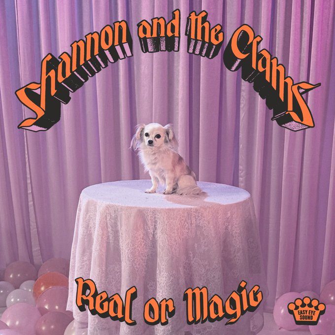 Shannon & The Clams Share Dreamy New Single “Real Or Magic” - mxdwn Music