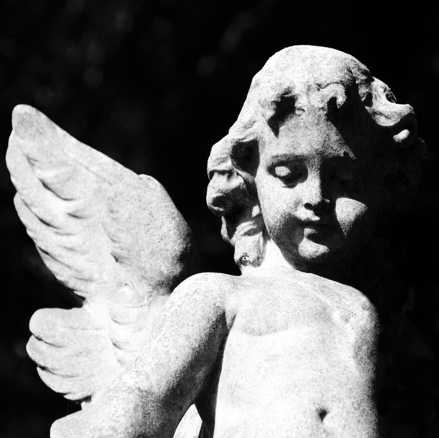 Cold Cave Announces New Album Passion Depression For October 2024 ...