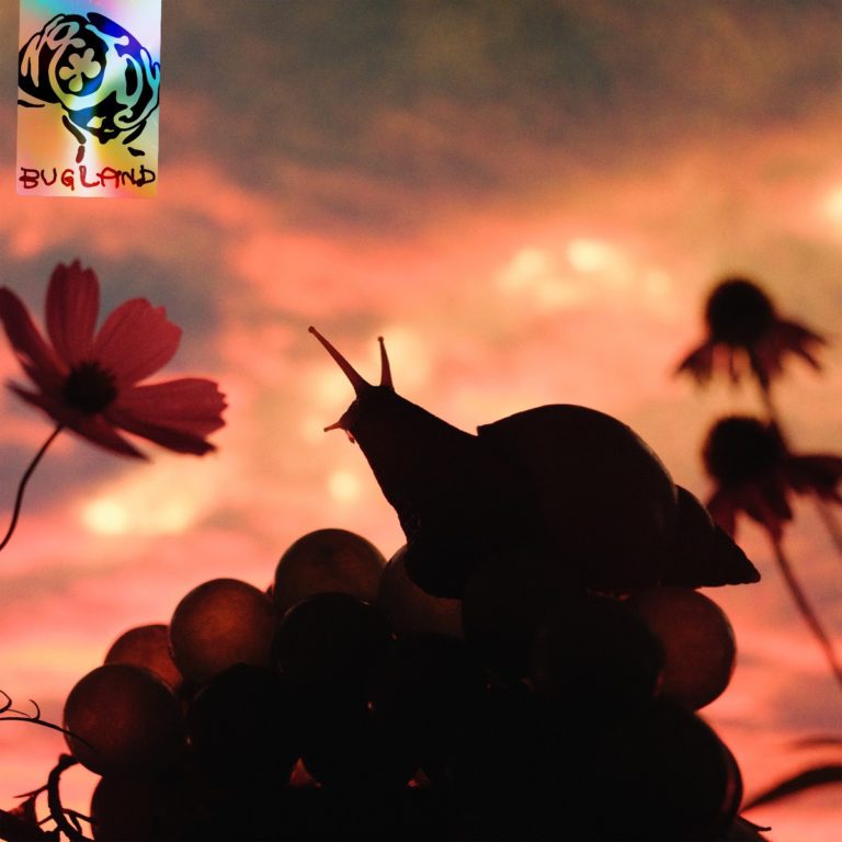 No Joy Announce New Album Bugland For August 2025 Release, Share New ...