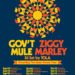 Gov’t Mule & Ziggy Marley Announce Fall 2026 Co-Headlining Tour Dates ...